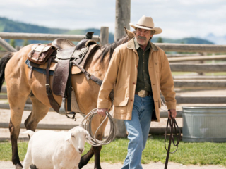 Watch the Hit Family Show Heartland on UPtv! - UPtv.com